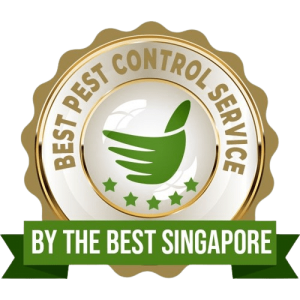 Pest Control Singapore | First Choice Pest Specialist